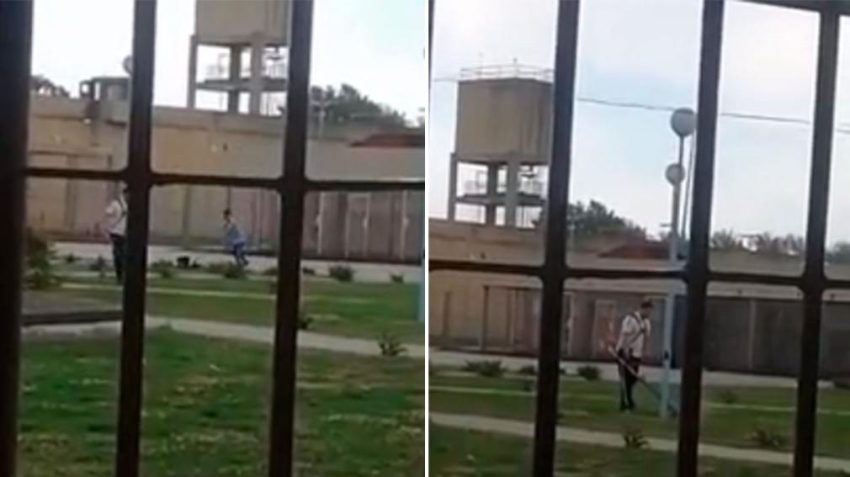 Video Viralizan Imágenes De Los Rugbiers En La Cárcel Cortando El