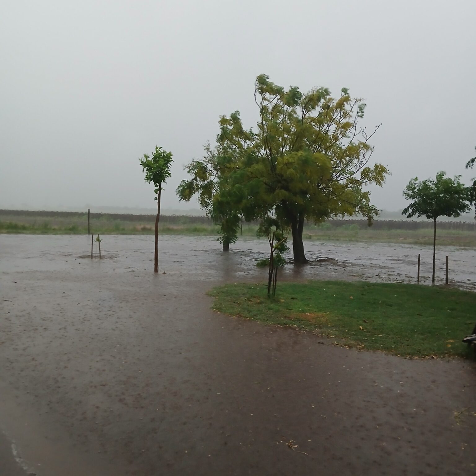 El niño 2026: con intervención de la UNNE y especialistas de Brasil ...