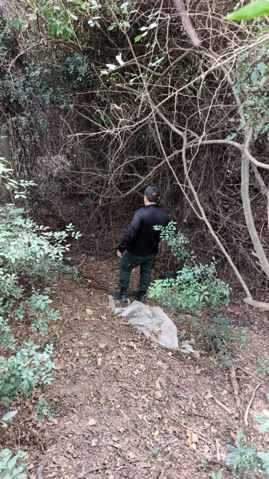 La búsqueda de Axel no se detiene: con drones y por tierra continúan ...